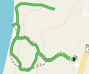 Whaleback Shell Midden Trail: 16 Reviews, Map - Maine | AllTrails