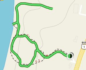 Whaleback Shell Midden Trail, Maine - 27 Reviews, Map | AllTrails