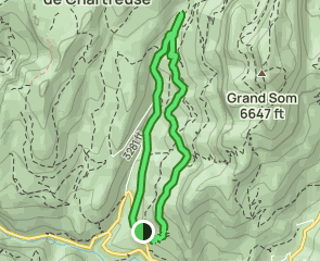 Monastery of the Grande Chartreuse - Saint Bruno Chapel, Isère, France ...