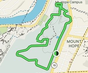 Mount Hope Cemetery Trail: 418 Reviews, Map - New York | AllTrails
