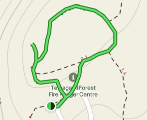 Temagami Fire Tower: 61 Reviews, Map - Ontario, Canada | AllTrails