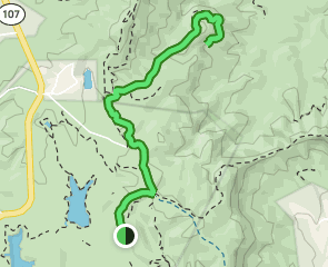 Hidden Falls Trail: 555 Reviews, Map - South Carolina | AllTrails