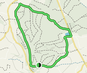 Peckham Hurst and Mereworth Woods - Kent, England | AllTrails