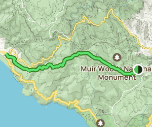 Dipsea Trail: 1368 Reviews, Map - California | AllTrails