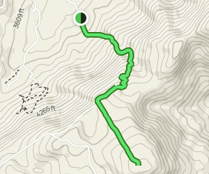 Magoebaskloof Gateway Hiking Trail: 4 Reviews, Map - Limpopo, South ...