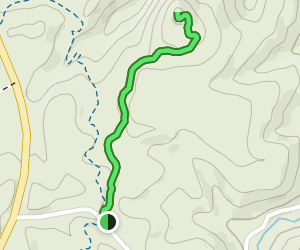 Lynx Creek Ruins Trail: 120 Reviews, Map - Arizona | AllTrails