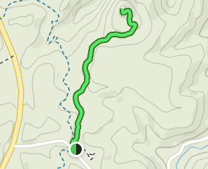 Lynx Creek Ruins Trail, Arizona - 131 Reviews, Map | AllTrails