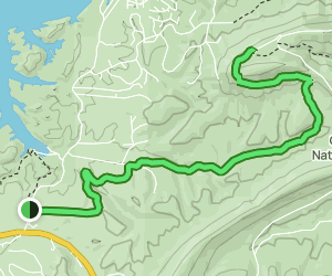 Lake Ouachita Vista Trail: Mtn Harbor Rd - Lookout Tower: 66 Reviews ...