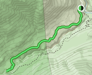 Agnes Gorge Trail, Washington - 103 Reviews, Map | AllTrails