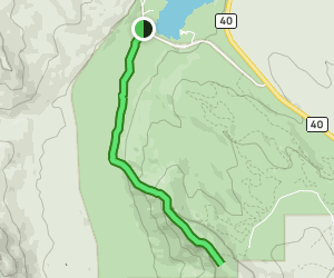 Athabasca Lookout Trail: 347 foton – Alberta, Canada | AllTrails