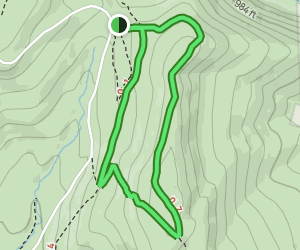 Thurmont Vista Loop Trail: 255 Reviews, Map - Maryland | AllTrails