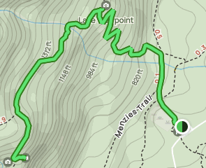 Alouette Lake Viewpoint Trail, British Columbia, Canada - 297 Reviews ...