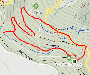 Switzerland Forest Campsite Circuit | Map, Guide - Northern District ...