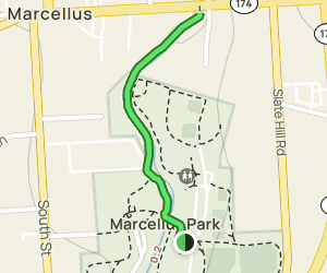 Marcellus Park Fred’s Trail | Map, Guide - New York | AllTrails