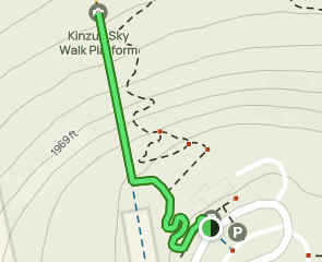 Kinzua Sky Walk Platform, Pennsylvania - 66 Reviews, Map | AllTrails