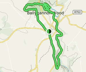 Rathdrum, Avondale and Ballygannon Wood Loop: 107 Reviews, Map - County ...