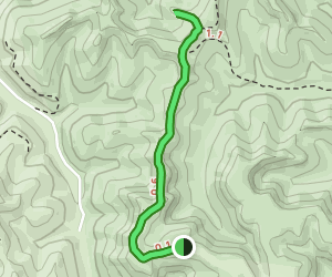 Devils Market House Arch Trail: 213 Reviews, Map - Kentucky | AllTrails