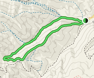 Yellow Fork and Big Rock Trail Loop: 230 Reviews, Map - Utah | AllTrails