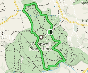 Chopwell Woods and River Derwent Circular: 216 Reviews, Map - Tyne and ...