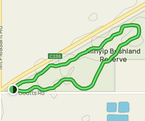 Minyip Bushland Reserve Walk: 3 Reviews, Map - Victoria, Australia ...