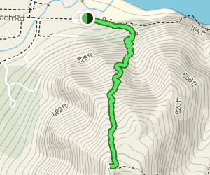 Pauanui Summit Walk - Waikato, New Zealand | AllTrails