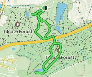 Tilgate Forest Circular, 30 Fotos - West Sussex, England | AllTrails