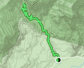 Cimmarona Creek Trail #586: Short Version, Colorado - 59 Reviews, Map ...