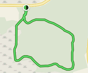 Chestnut Neck Conservation Trail: 5 Reviews, Map - New Jersey | AllTrails