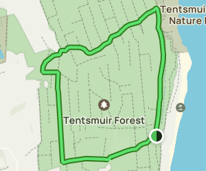 Circuit Tentsmuir Forest: 37 Reviews, Map - Fife, Scotland | AllTrails