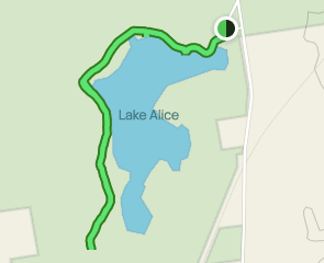 Lake Alice: 41 Reviews, Map - New York | AllTrails