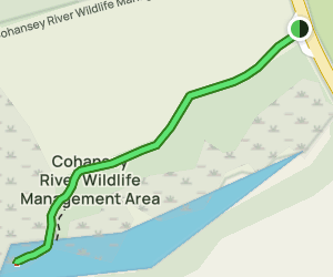 Cohansey River WMA Trail: 1 Reviews, Map - New Jersey | AllTrails