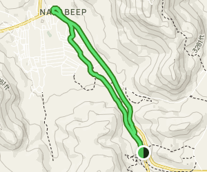 Springbok Flower Trail: 1 Reviews, Map - Northern Cape, South Africa ...