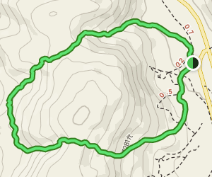 Nababeep Flower Trail: 2 Reviews, Map - Northern Cape, South Africa ...