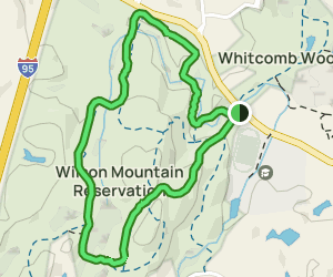 Wilson Mountain Reservation Trail: 1029 Reviews, Map - Massachusetts ...