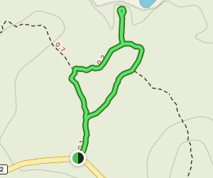 Atlanta Arrowhead Trail | Map, Guide - Texas | AllTrails