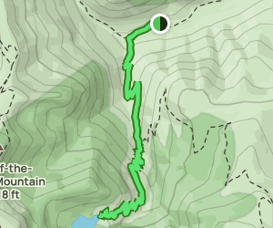 Middle Fork Lake Trail: 678 Reviews, Map - New Mexico | AllTrails