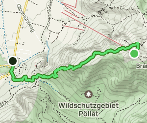 Tegelberg nach Hohenschwangau | Map, Guide - Bayern, Germany | AllTrails