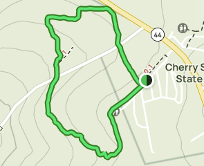 Cherry Springs State Park Interpretive Trail, Pennsylvania - 140 ...