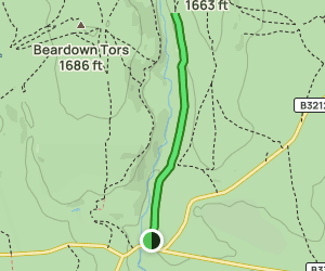 Wistman's Wood View: 87 Reviews, Map - Devon, England | AllTrails