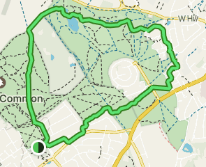 Ashtead and Epsom Common Circular: 167 Fotos - Surrey, England | AllTrails