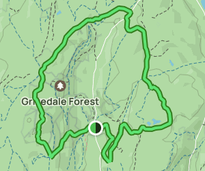 Grizedale Forest and Stony Gap Circular: 184 Fotos - Cumbria, England ...