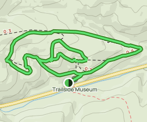 Trees of Stone Interpretive Trail: 266 Reviews, Map - Washington ...