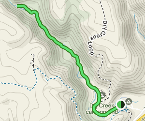 Dry Creek Waterfall Track: 45 Reviews, Map - Wellington, New Zealand ...