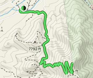 Picacho Peak Trail: 2247 Reviews, Map - New Mexico | AllTrails