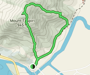 Mount Taupiri Track: 24 Reviews, Map - Waikato, New Zealand | AllTrails