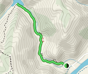 Birchville Dam Track: 28 Reviews, Map - Wellington, New Zealand | AllTrails