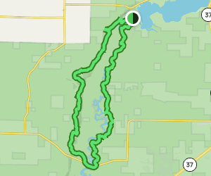 The Manistee River Loop Trail: 1850 Reviews, Map - Michigan | AllTrails