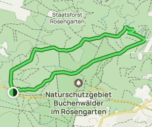 Karlstein - Großmodder Eiche - Paul-Roth-Stein - Lower Saxony, Germany ...