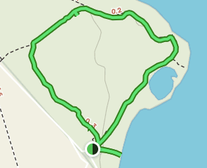 Besser Natural Area Loop, Michigan - 64 Reviews, Map | AllTrails