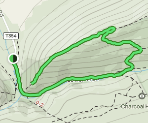 Lower Trail to Blue Knob Ridge: 55 Reviews, Map - Pennsylvania | AllTrails